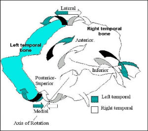 More Details - Undizzy Me